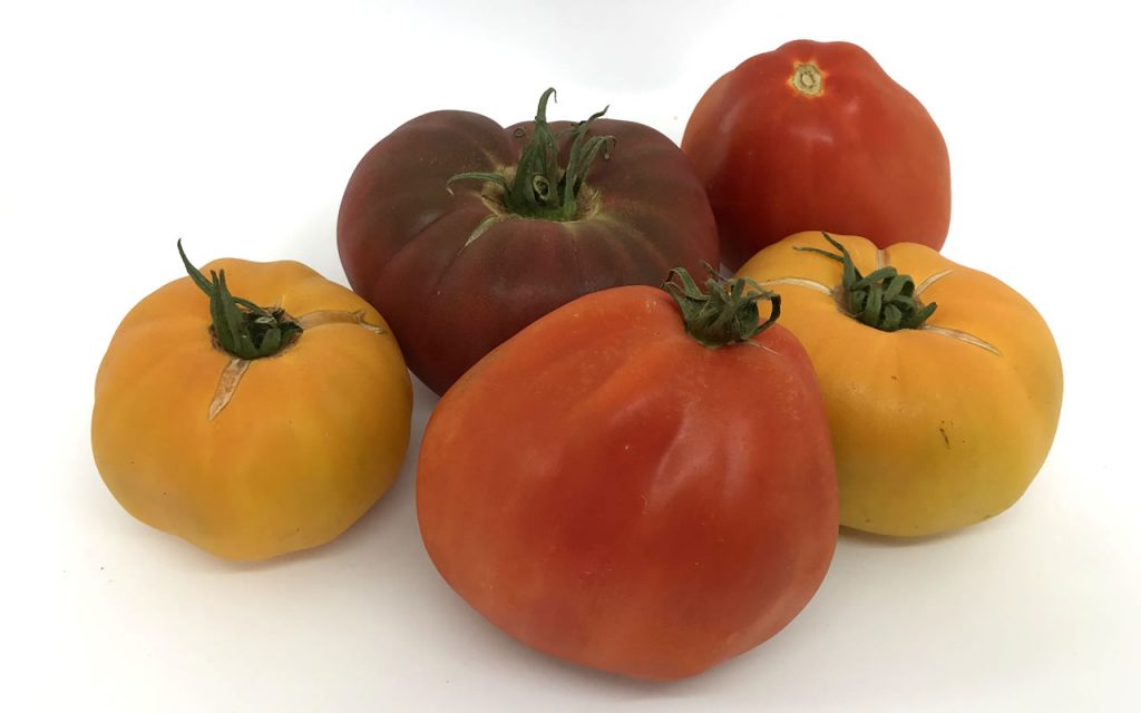 Tomate Heirloom - Productos Chipô