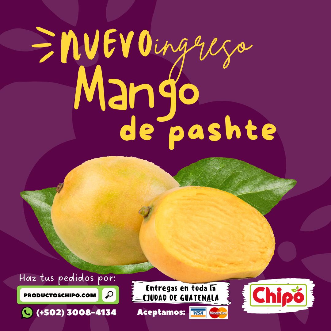 Mango de Pashte - Productos Chipô Guatemala