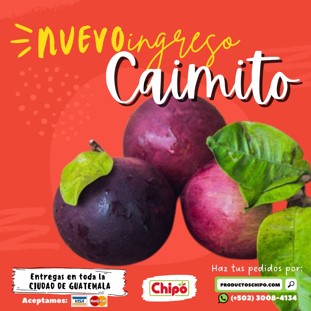 Caimito - Productos Chipô