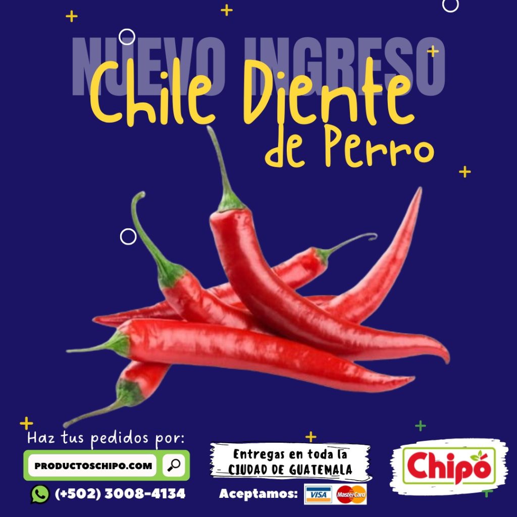 Chile Diente de Perro - Productos Chipô