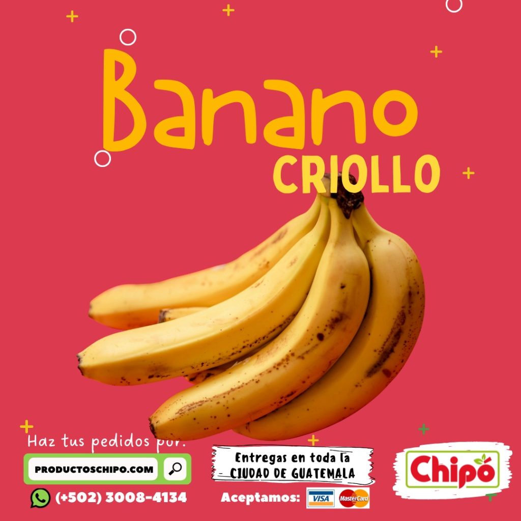 Banano criollo - Productos Chipô