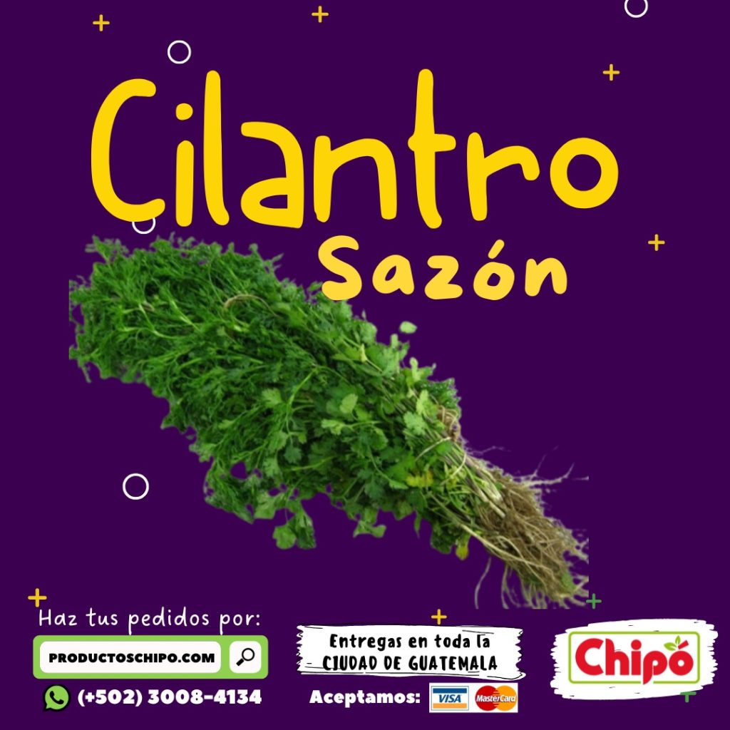 Cilantro Sazón - Productos Chipô
